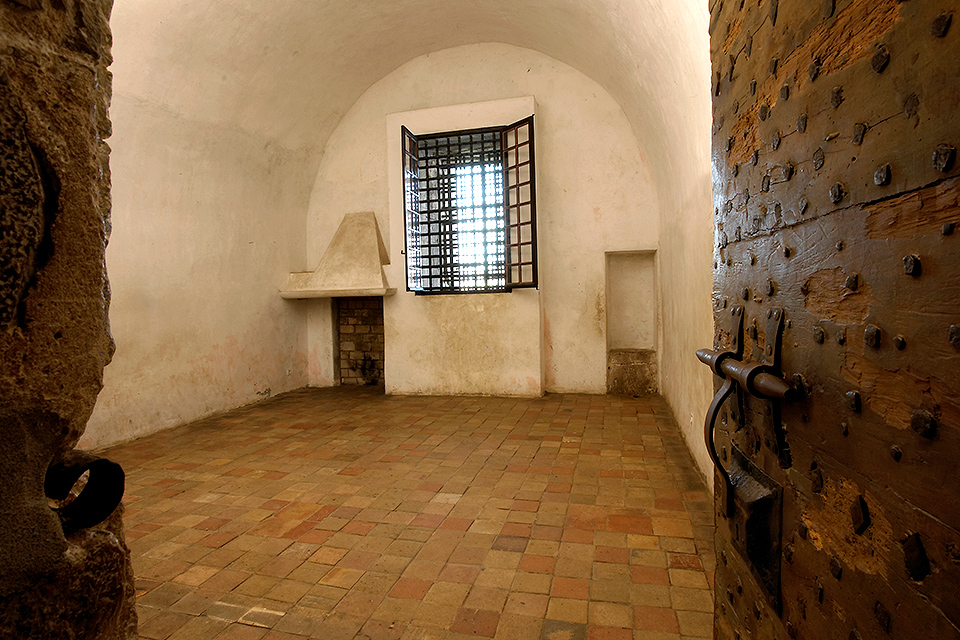 Exhibitions at the museum